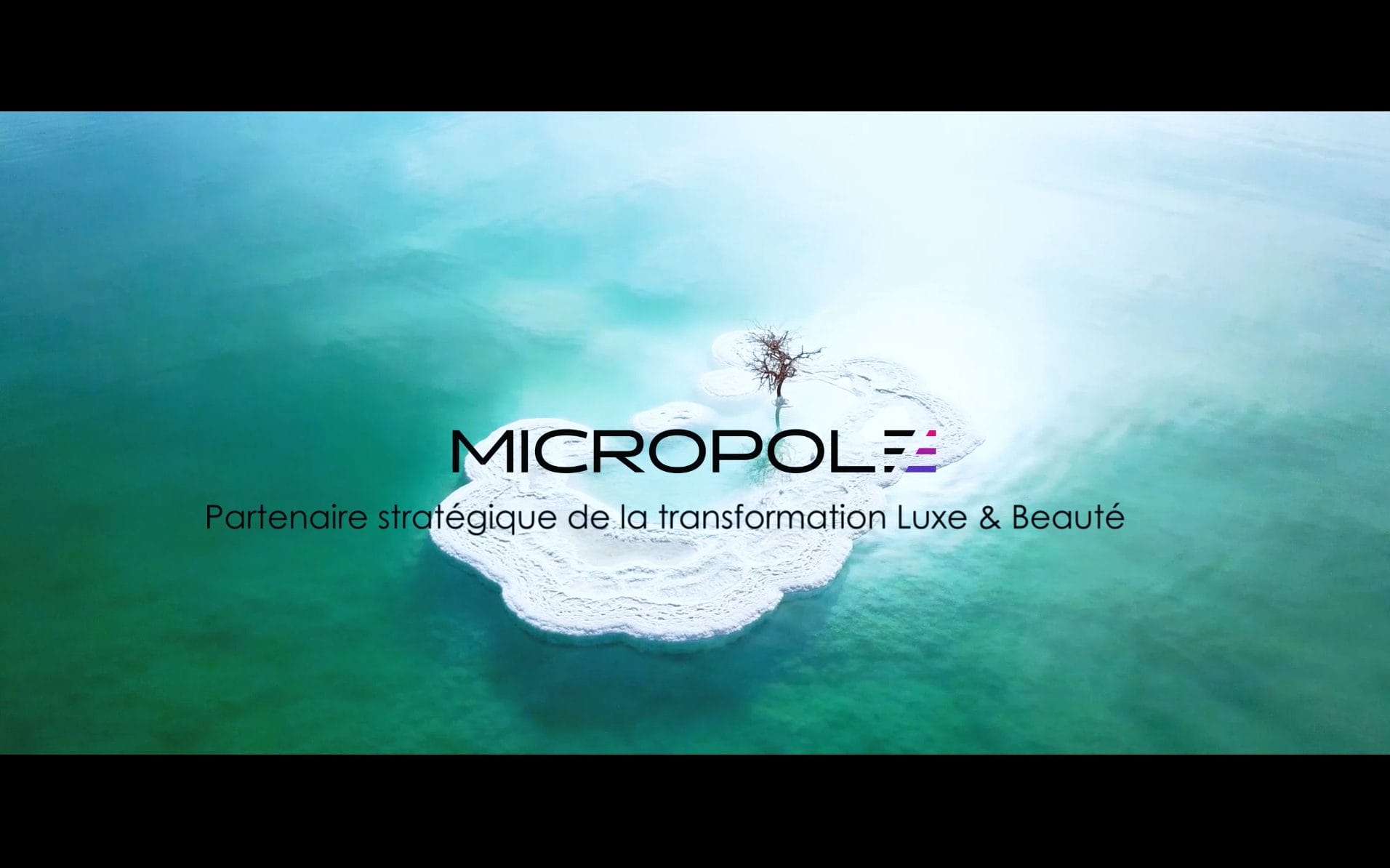 Micropole's digital expertise at the heart of Luxury Houses ...